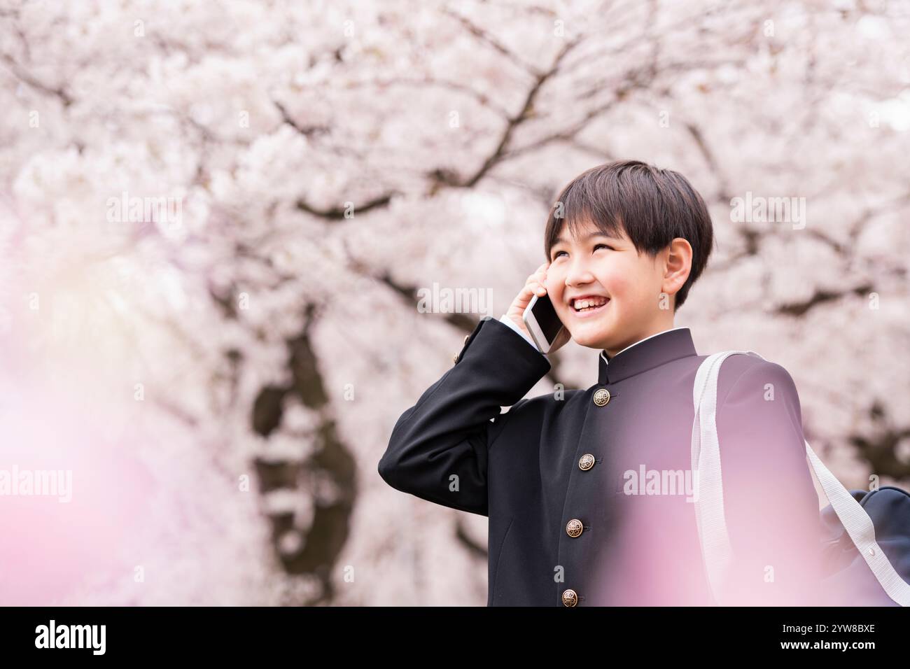 Junior high school students Spring Stock Photo - Alamy