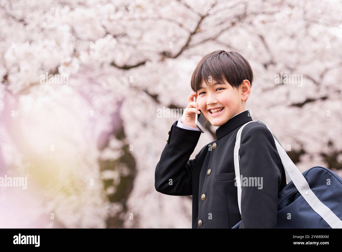 Junior high school students Spring Stock Photo - Alamy