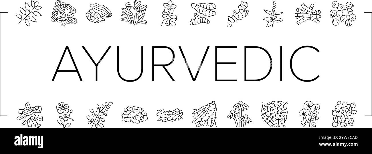ayurvedic herbs medicine health icons set vector Stock Vector Image ...