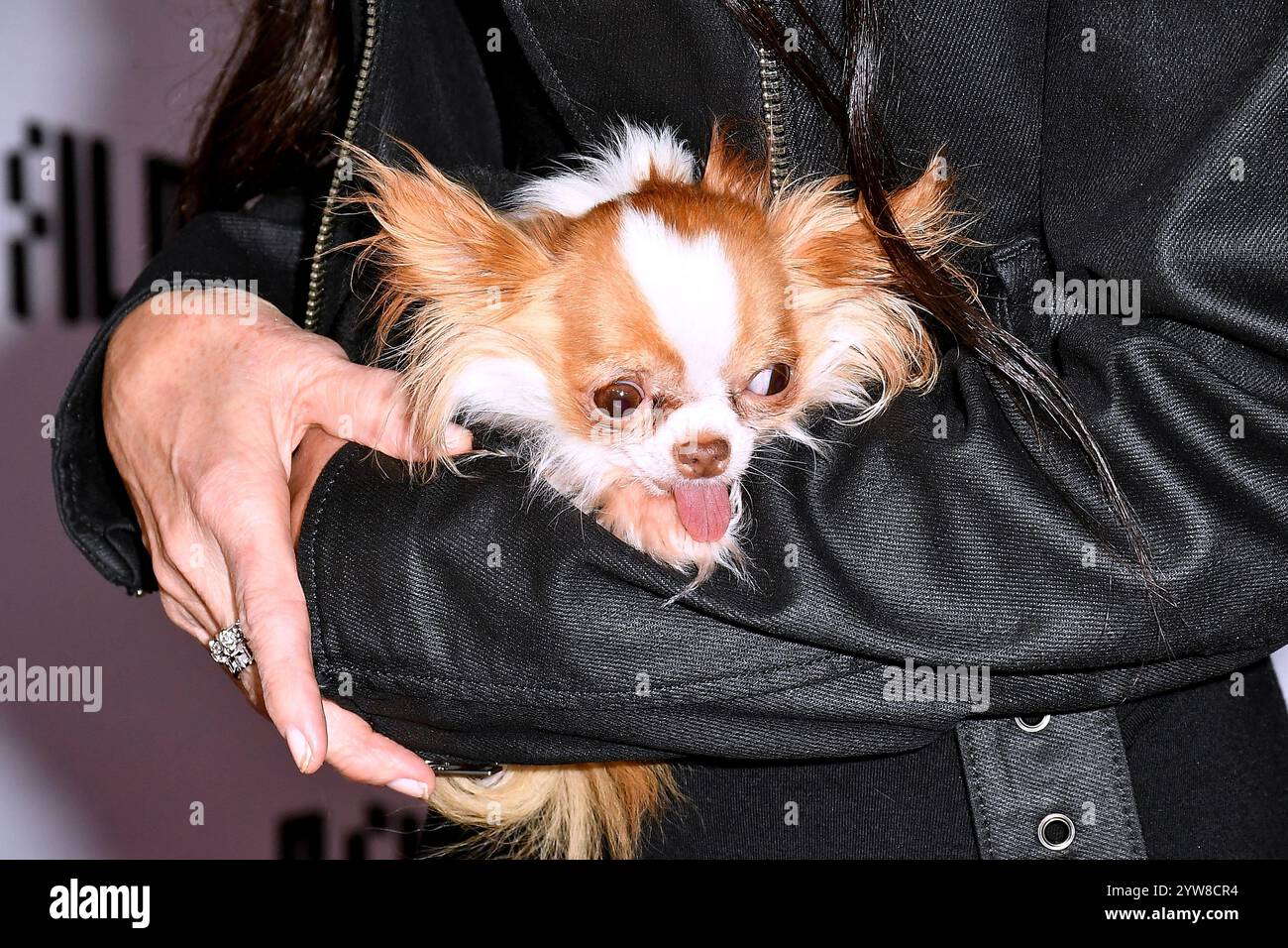 San Francisco, USA. 09th Dec, 2024. Pilaf, The Little Mouse, Demi Moore ...