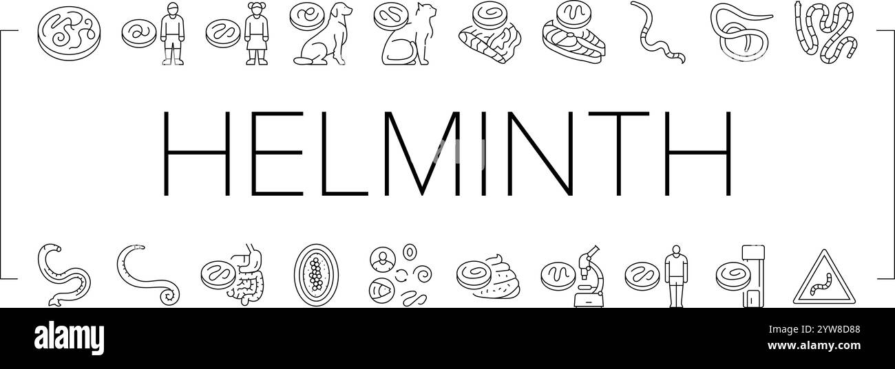 helminth worm parasite roundworm icons set vector Stock Vector Image ...