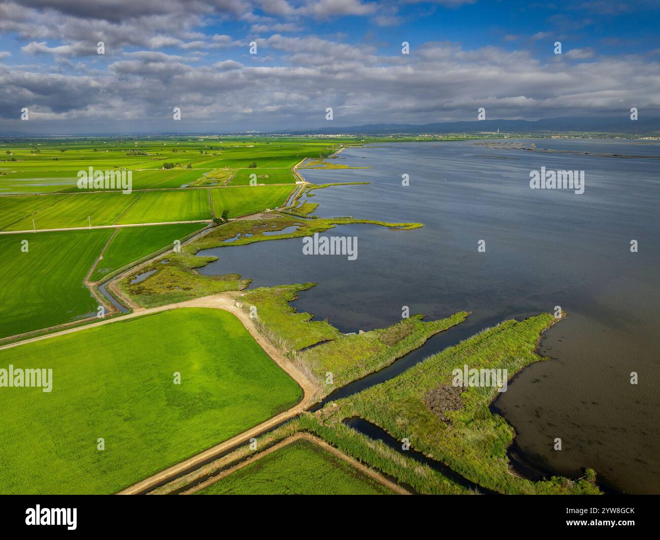 Aerial view of the Ebro Delta coast in Fangar Bay, with wetlands and ...