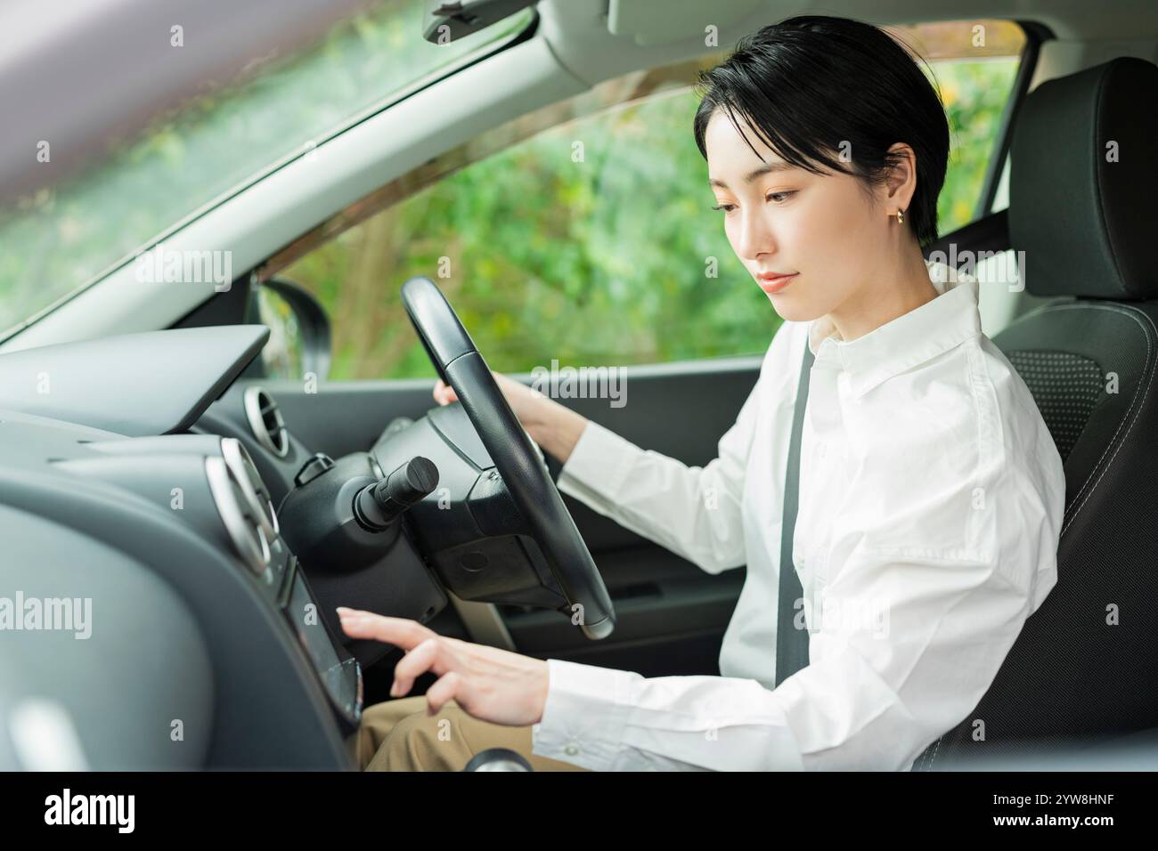 Driving system hi-res stock photography and images - Alamy