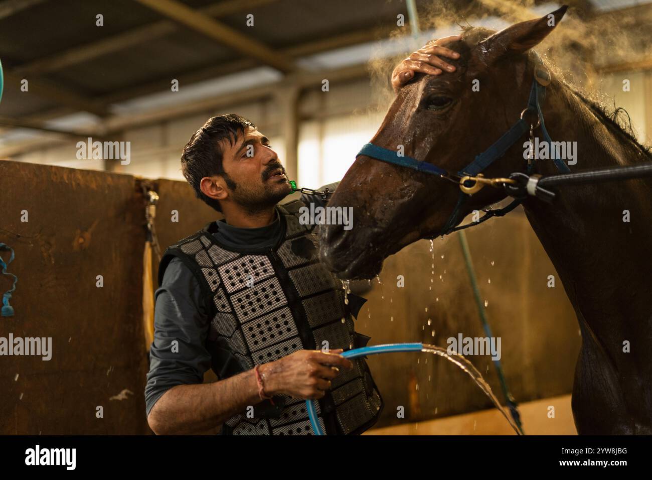 Racehorse and keeper Stock Photo - Alamy