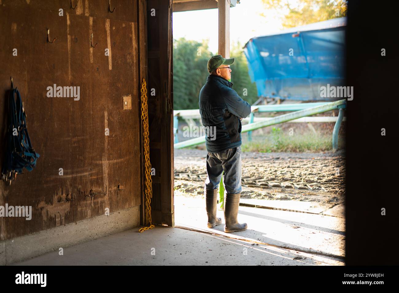 Horse stable racing hi-res stock photography and images - Alamy