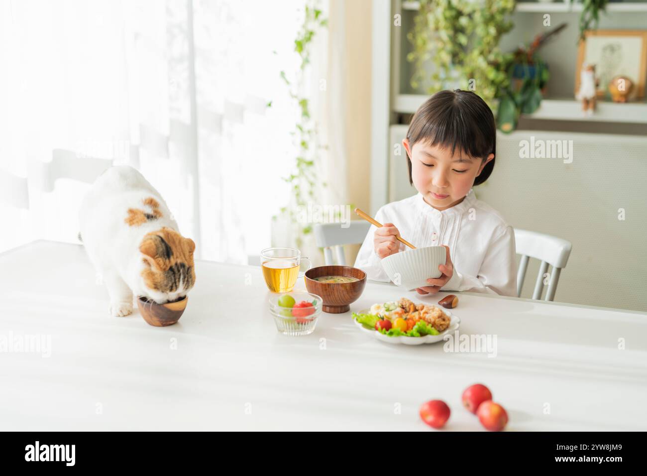 Scottish people eating hi-res stock photography and images - Alamy