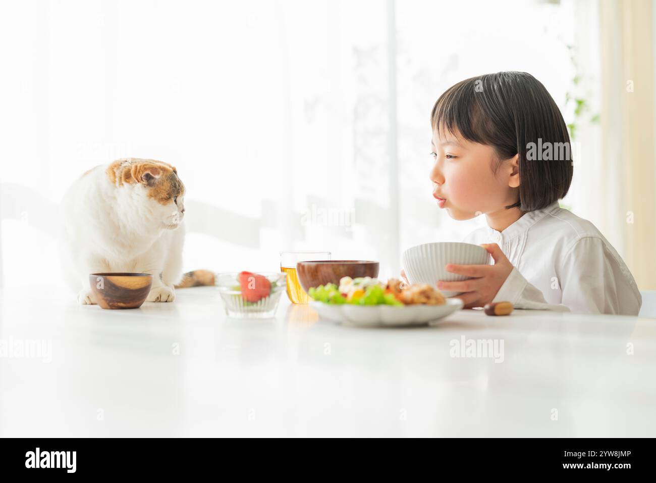 Girl and cat eating breakfast Stock Photo - Alamy
