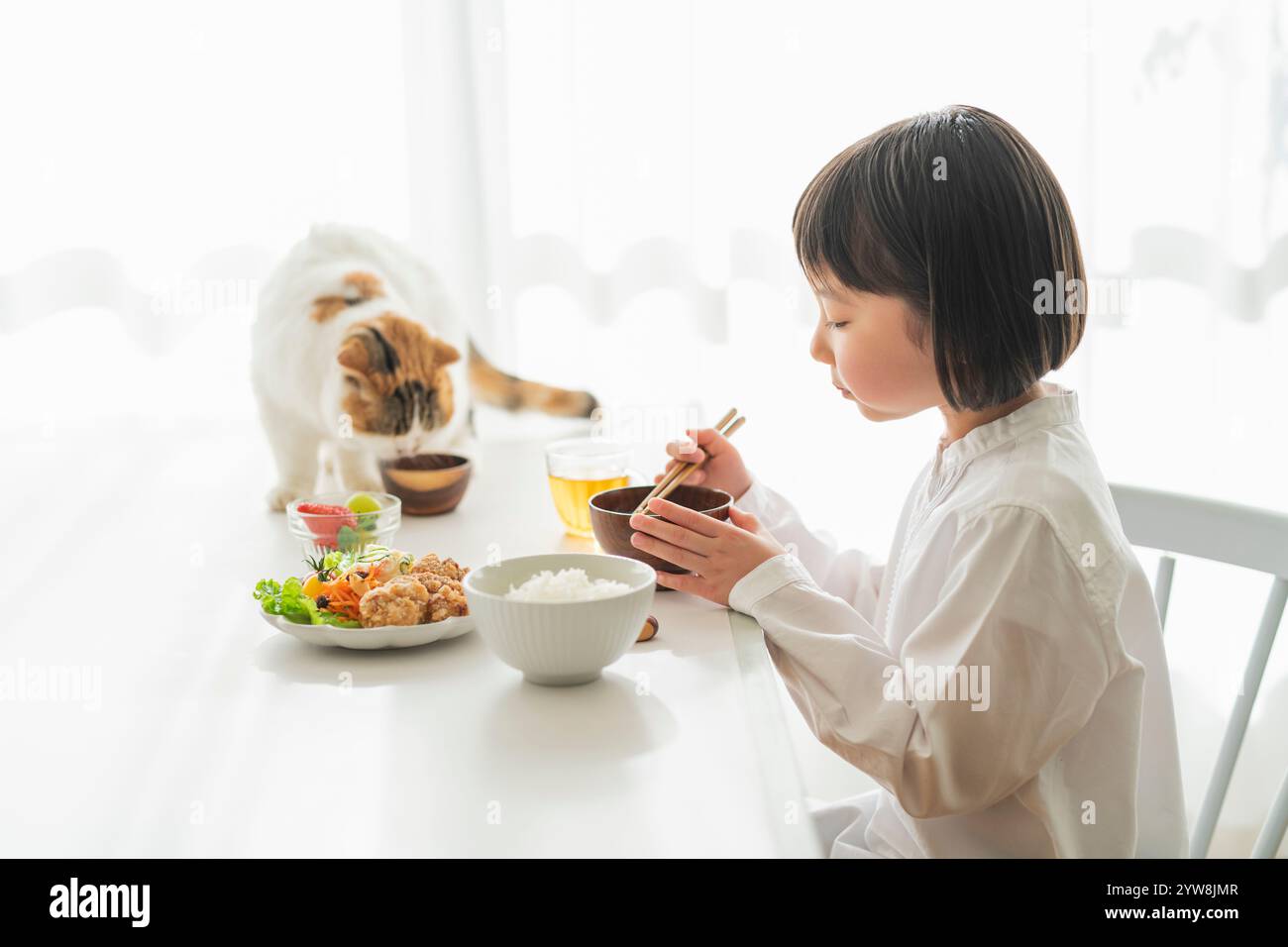 Cat eating at table hi-res stock photography and images - Alamy