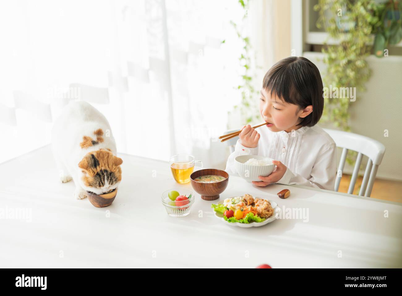 Girl and cat eating breakfast Stock Photo - Alamy