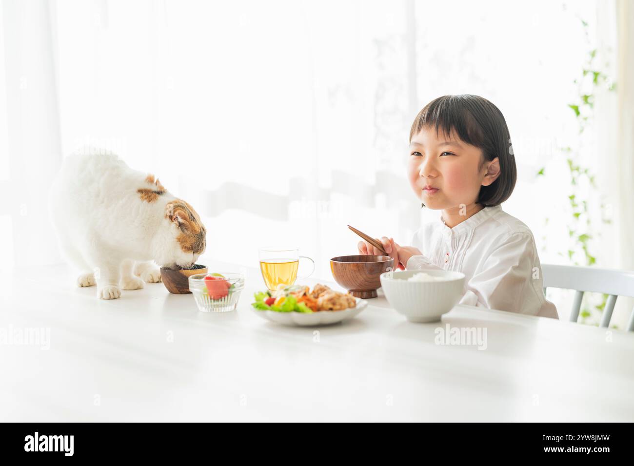 Girl and cat eating breakfast Stock Photo - Alamy
