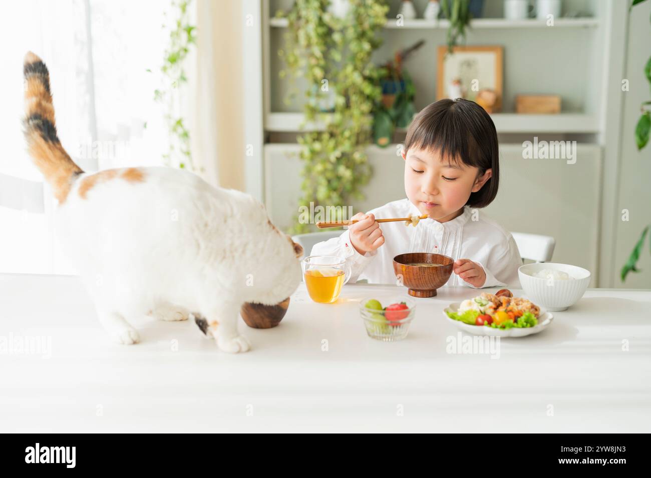 Girl and cat eating breakfast Stock Photo - Alamy