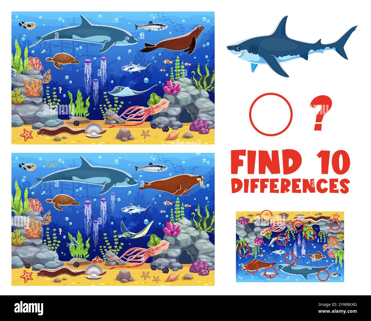 Find ten differences on underwater landscape with sea animals vector ...
