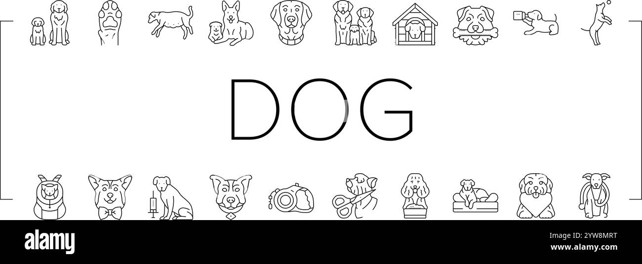 dog breeding genetics pedigree icons set vector Stock Vector Image ...