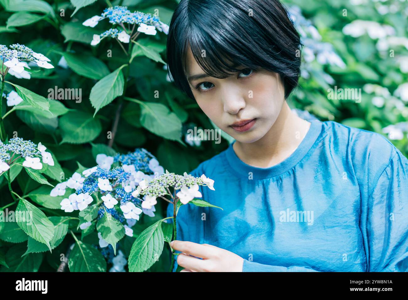 Hydrangea, woman, portrait Stock Photo - Alamy