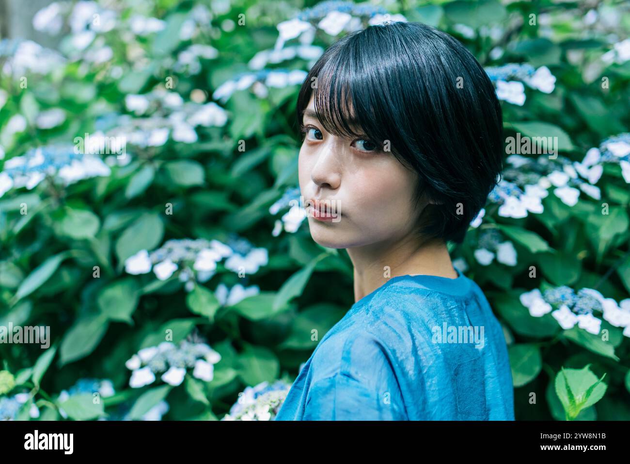 Hydrangea, woman, portrait Stock Photo - Alamy
