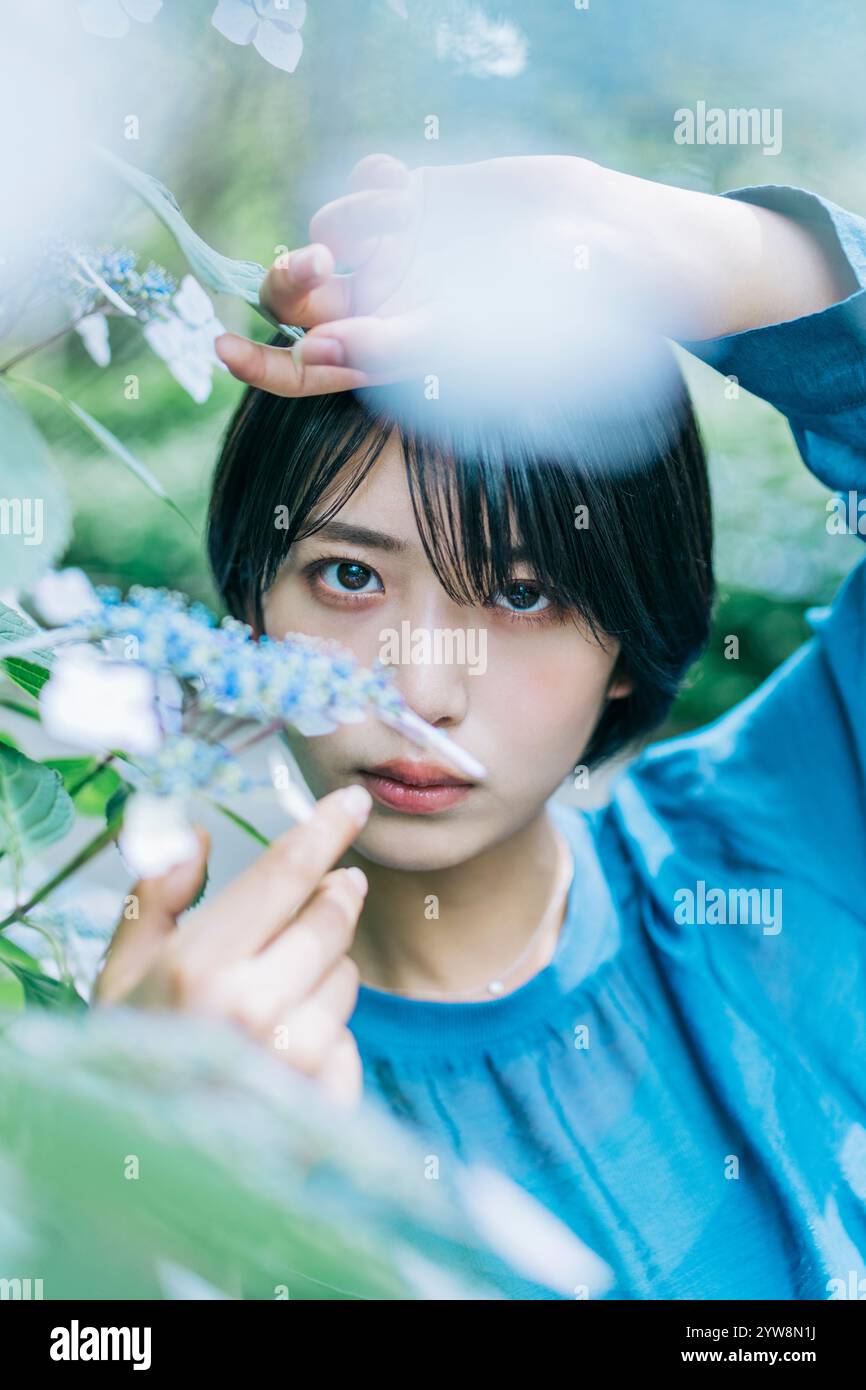 Hydrangea, woman, portrait Stock Photo - Alamy