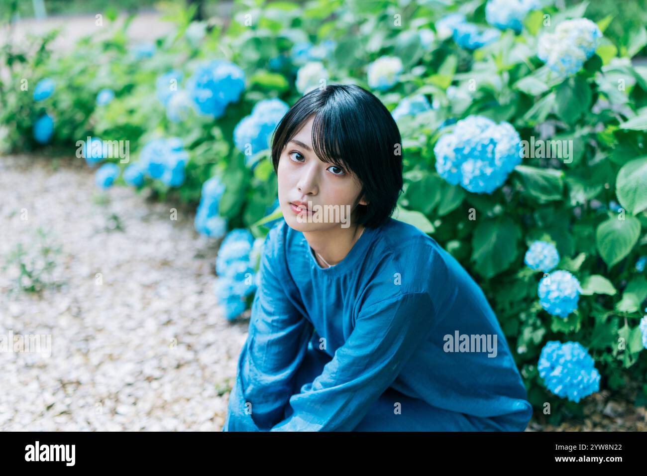 Hydrangea, woman, portrait Stock Photo - Alamy