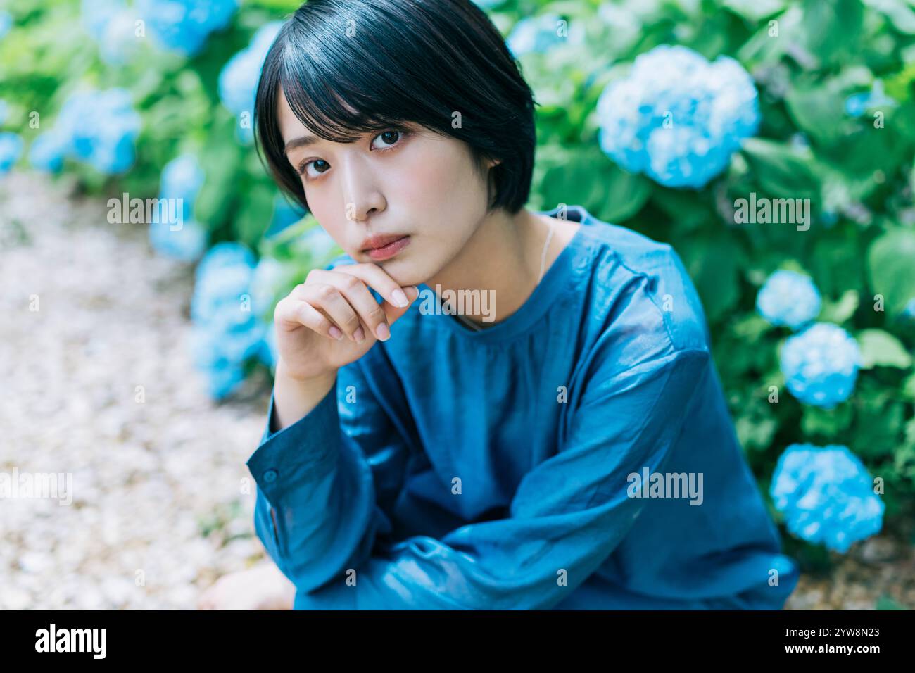 Hydrangea, woman, portrait Stock Photo - Alamy