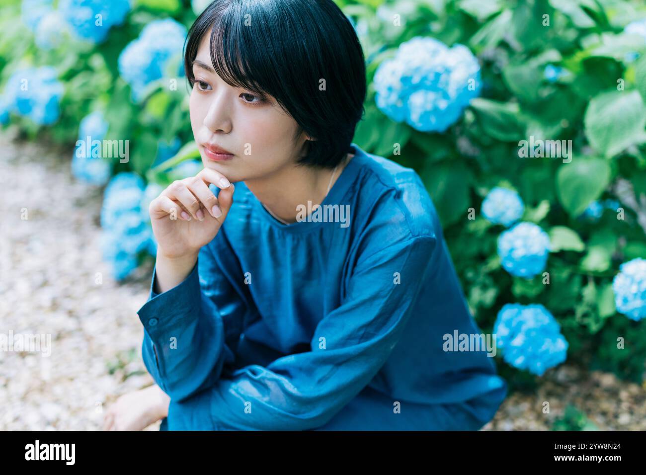 Hydrangea, woman, portrait Stock Photo - Alamy