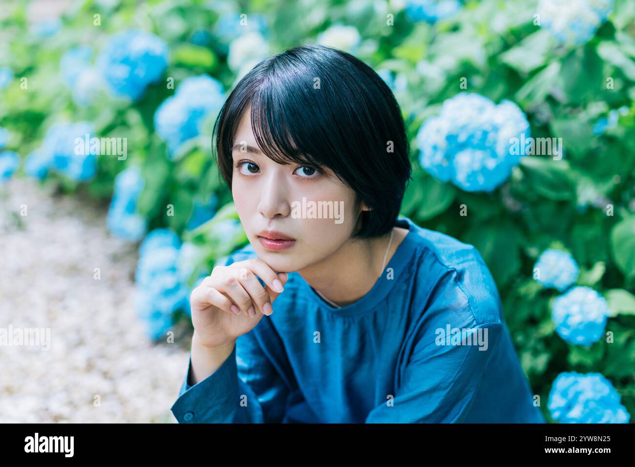 Hydrangea, woman, portrait Stock Photo - Alamy