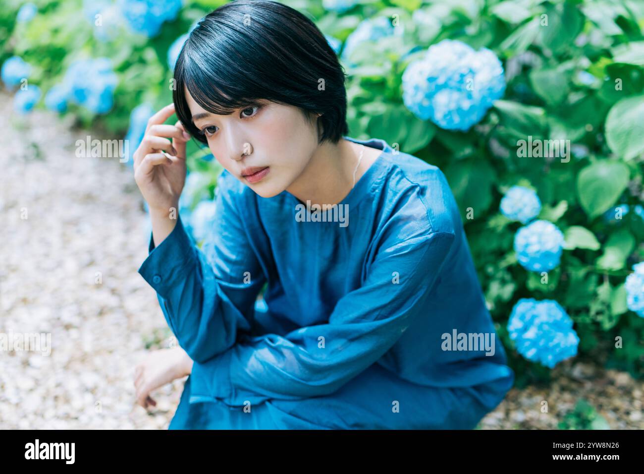 Hydrangea, woman, portrait Stock Photo - Alamy