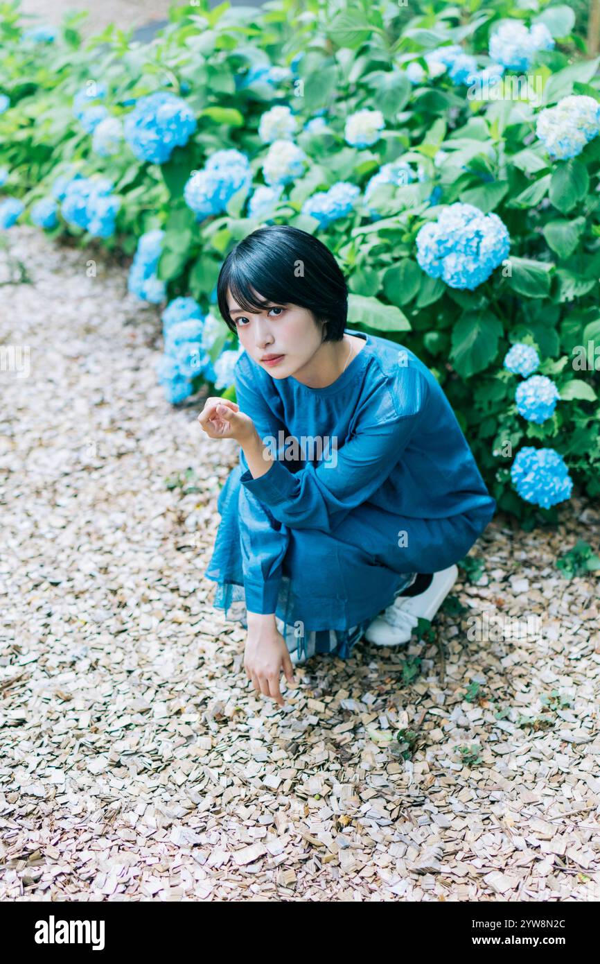 Hydrangea, woman, portrait Stock Photo - Alamy
