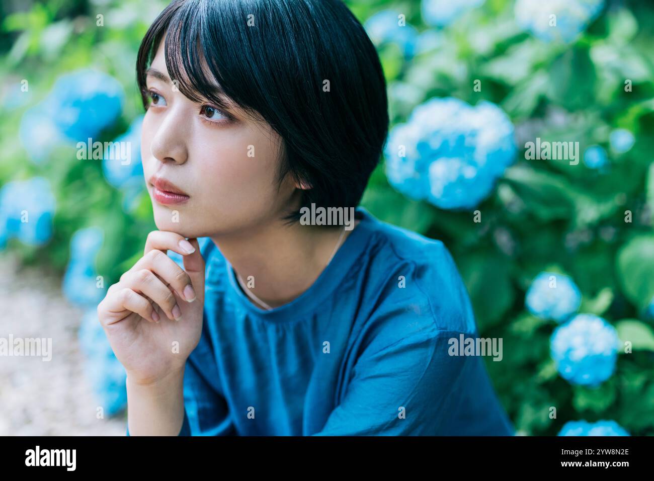 Hydrangea, woman, portrait Stock Photo - Alamy