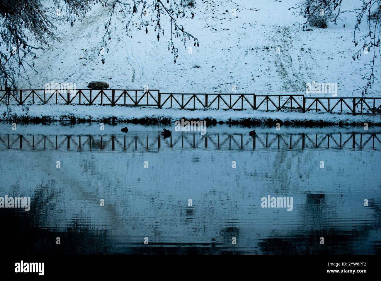 Reflective surface nature hi-res stock photography and images - Alamy