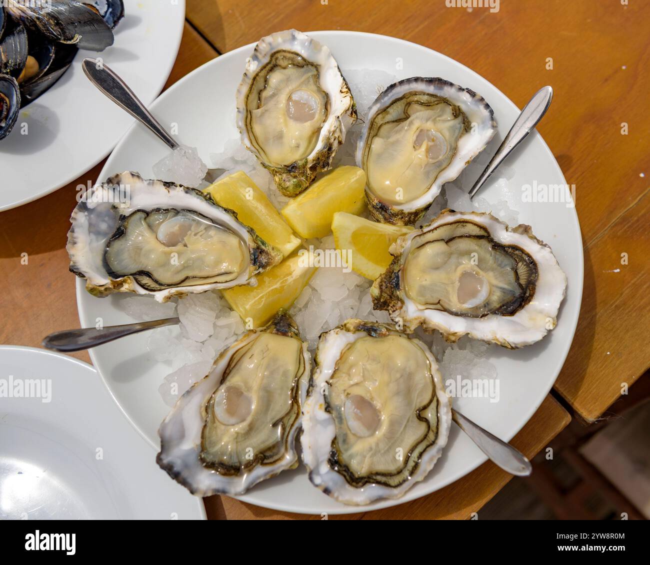 Oyster tasting in the Musclarium mussel farm, in the Alfacs bay of the ...