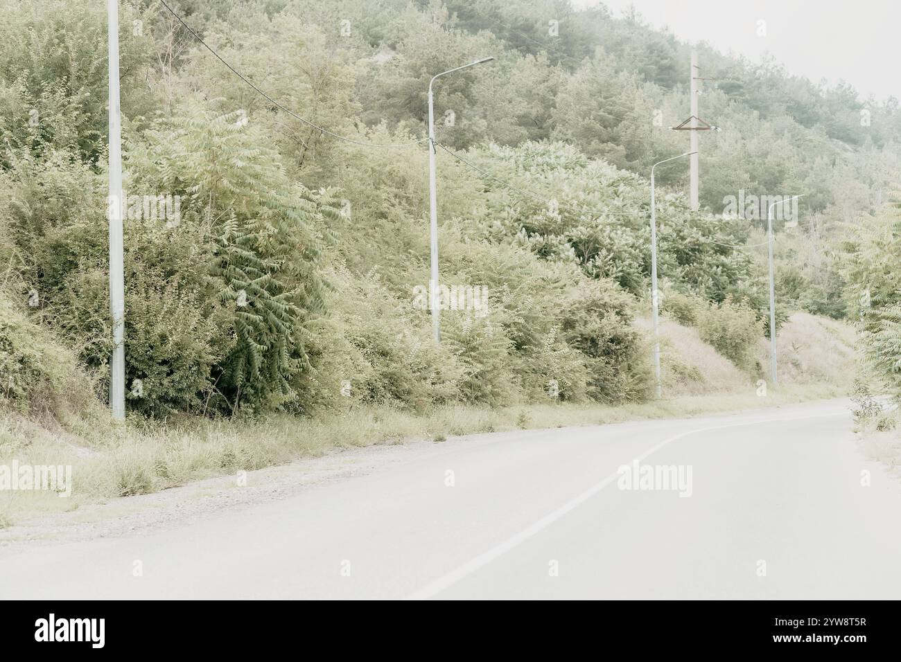 Empty Road Through a Hillside of Foliage Stock Photo - Alamy