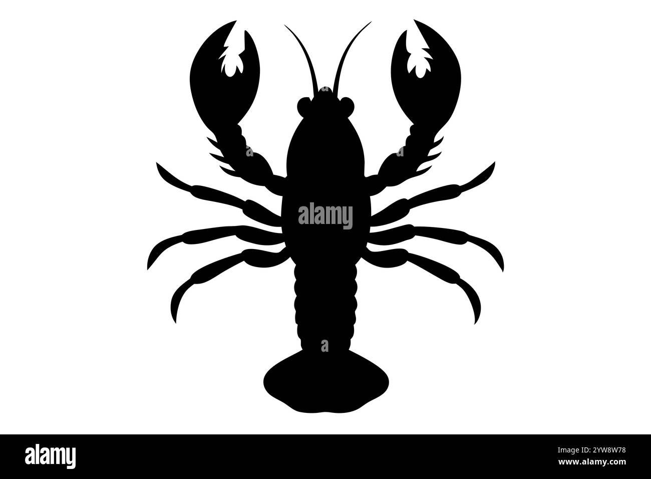Fresh cooked lobster on Stock Vector Images - Alamy