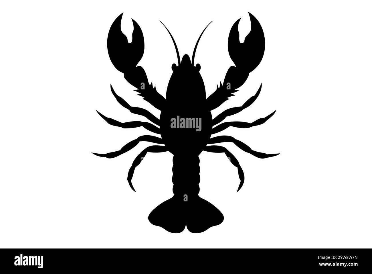 Fresh cooked lobster on Stock Vector Images - Alamy