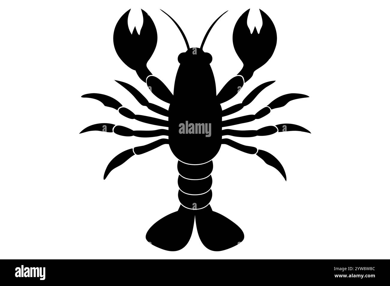Fresh cooked lobster on Stock Vector Images - Alamy