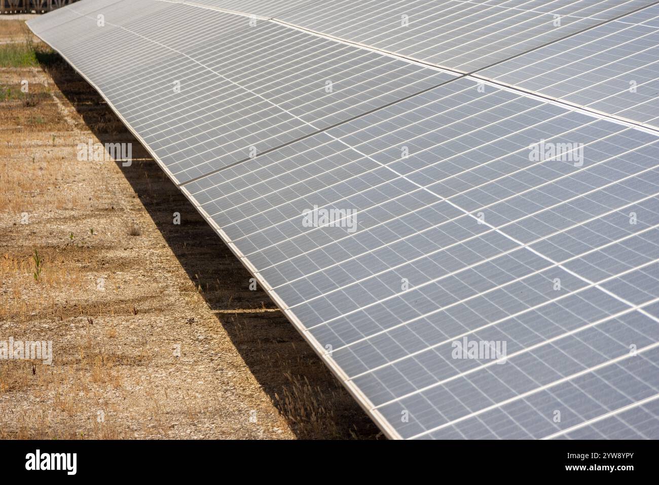 Rows of solar panels are converting sunlight into electricity in a ...