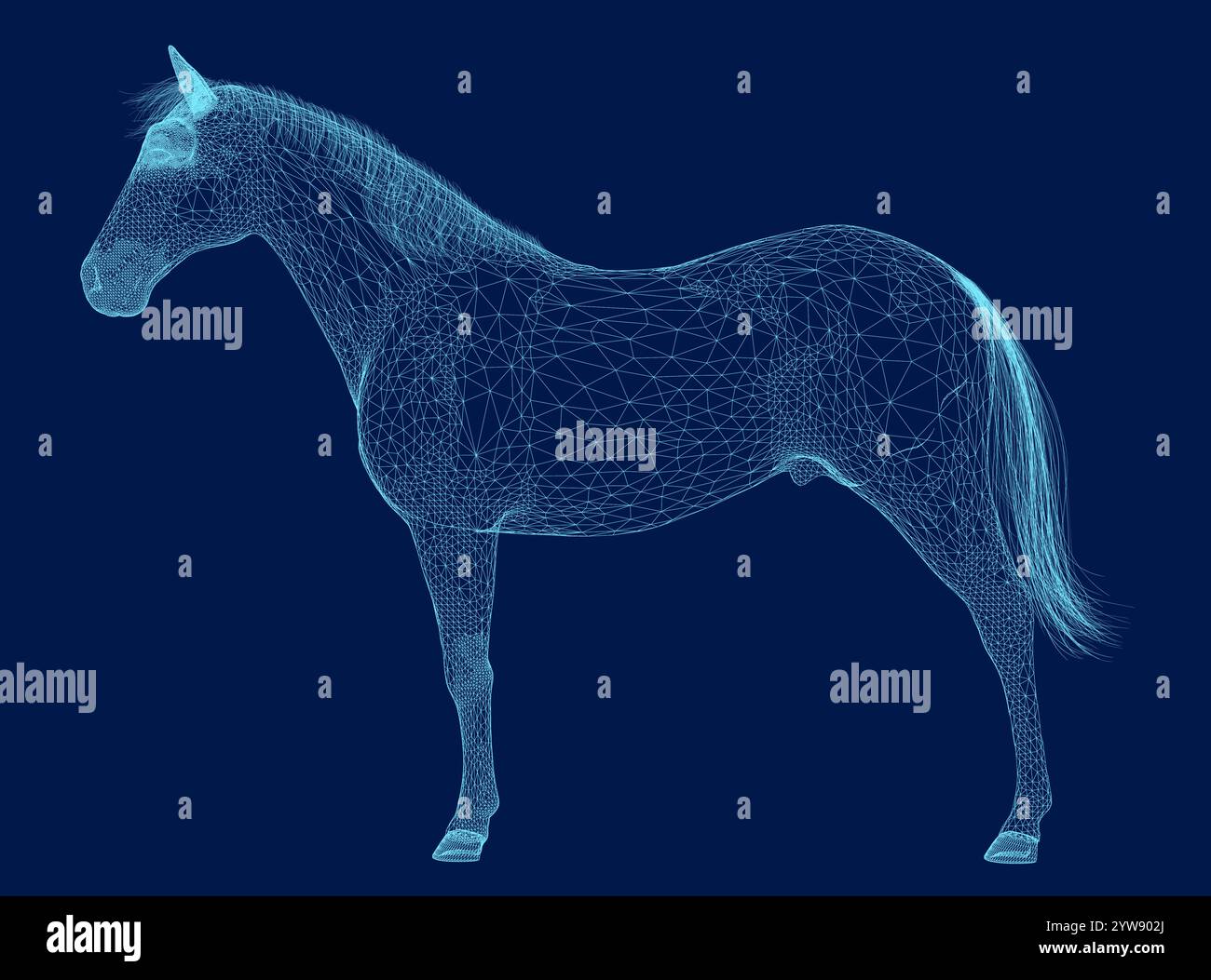 Horse wireframe. Wild Animals. Vector illustration Stock Vector Image ...