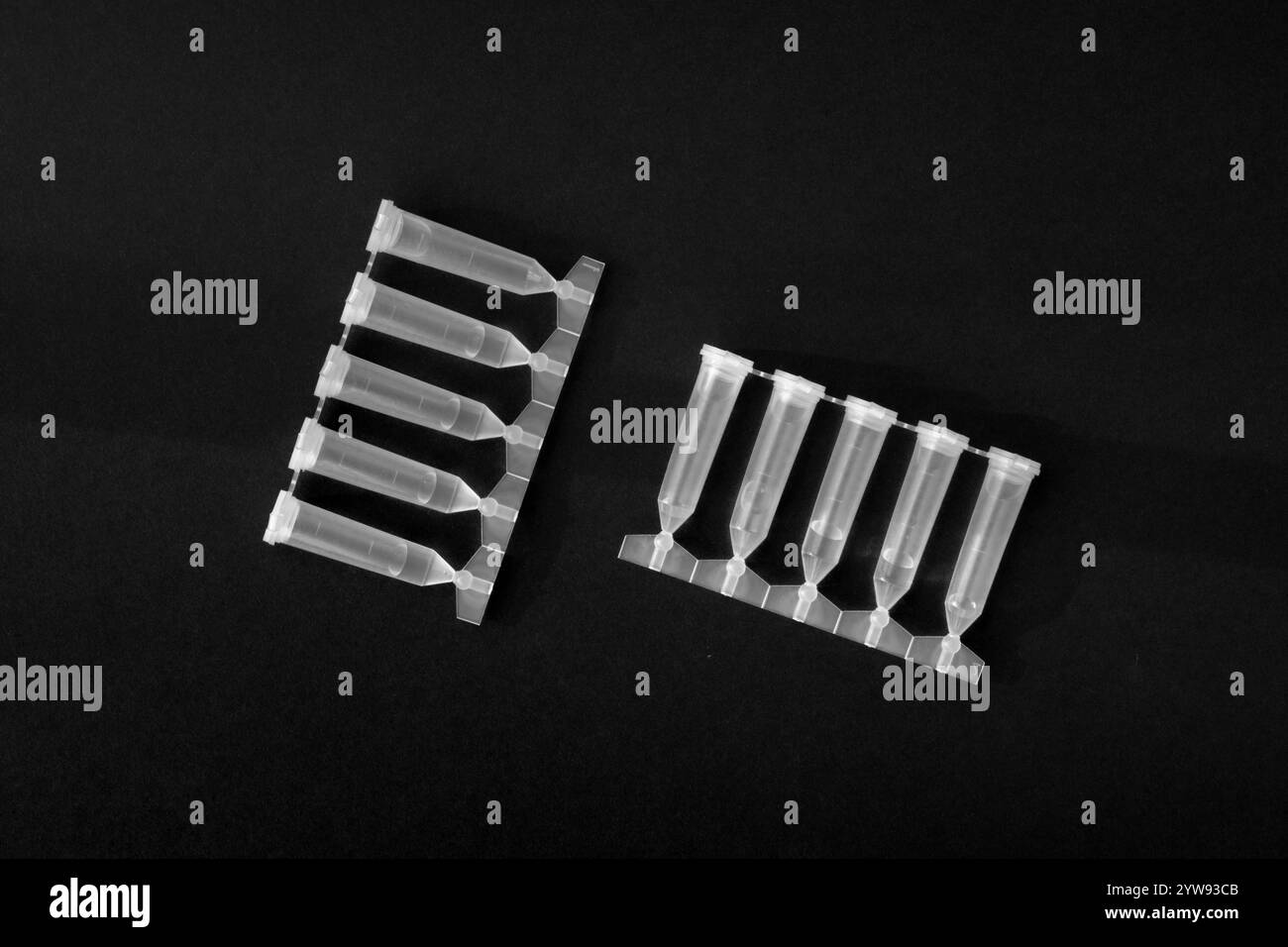 Disposable eye drops isolated on black background. Pack of eye drops ...