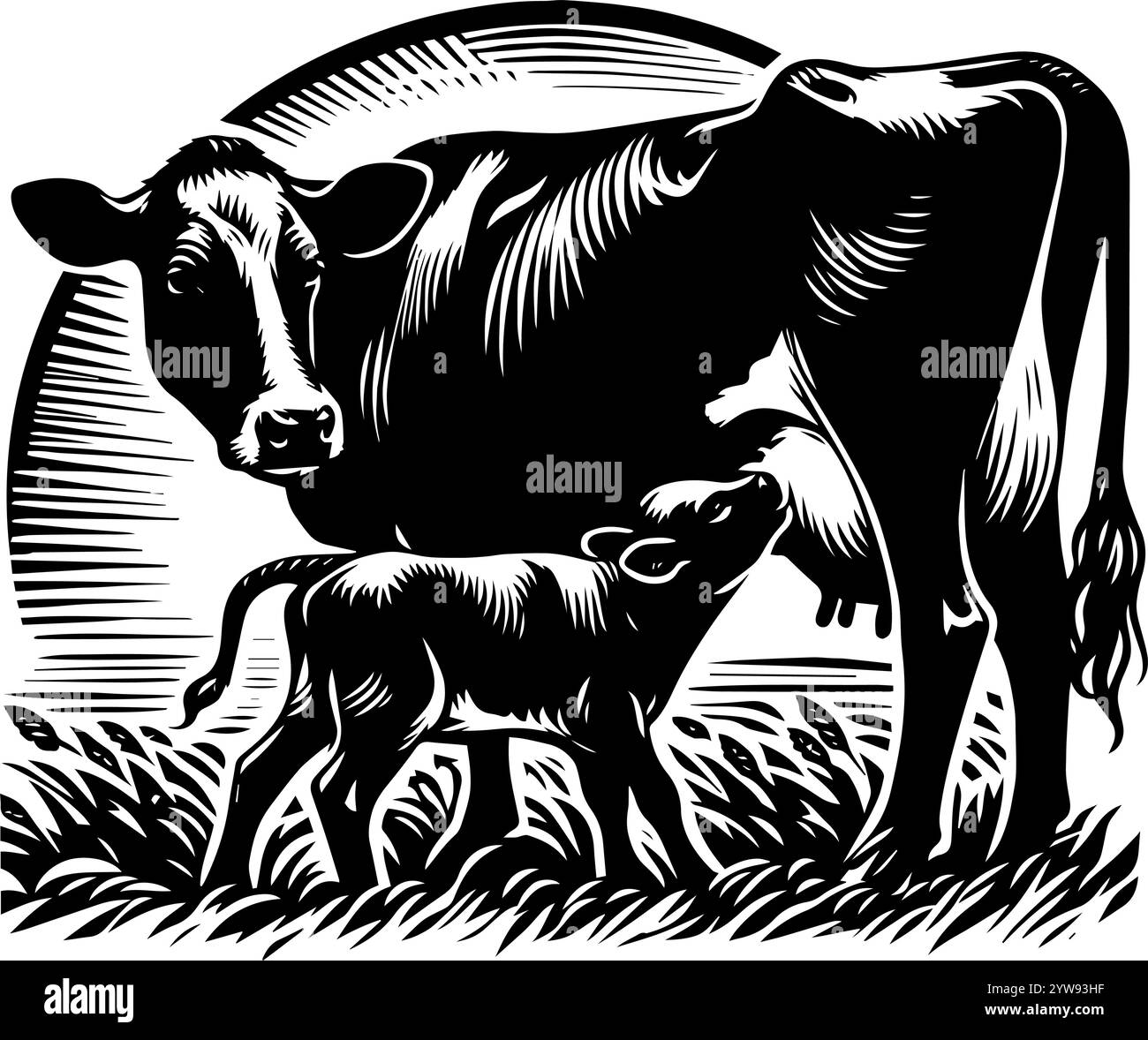 A heartwarming black and white illustration of a gentle cow nursing her ...