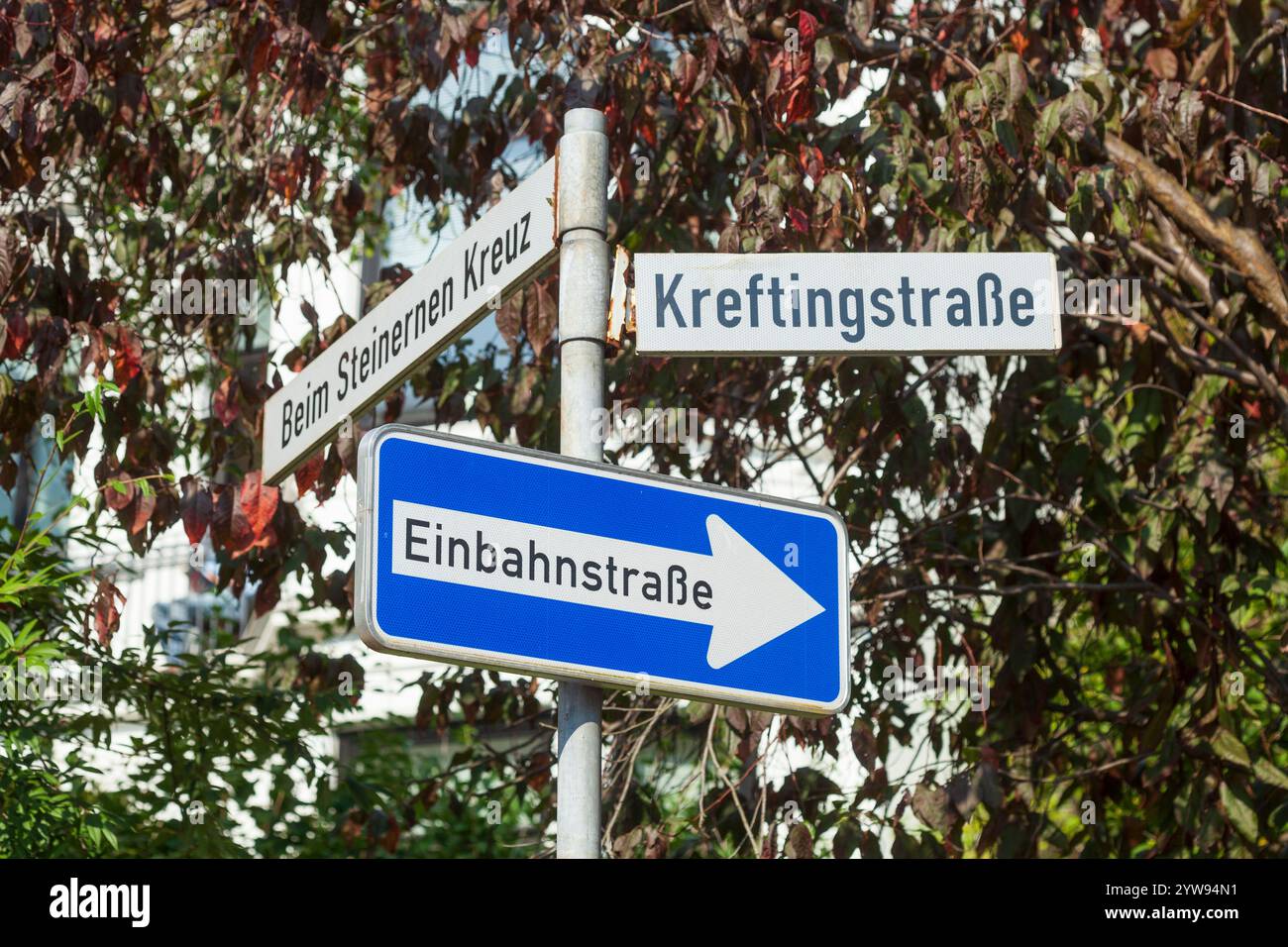 Road signs and traffic signs one-way street sign, Germany Stock Photo ...