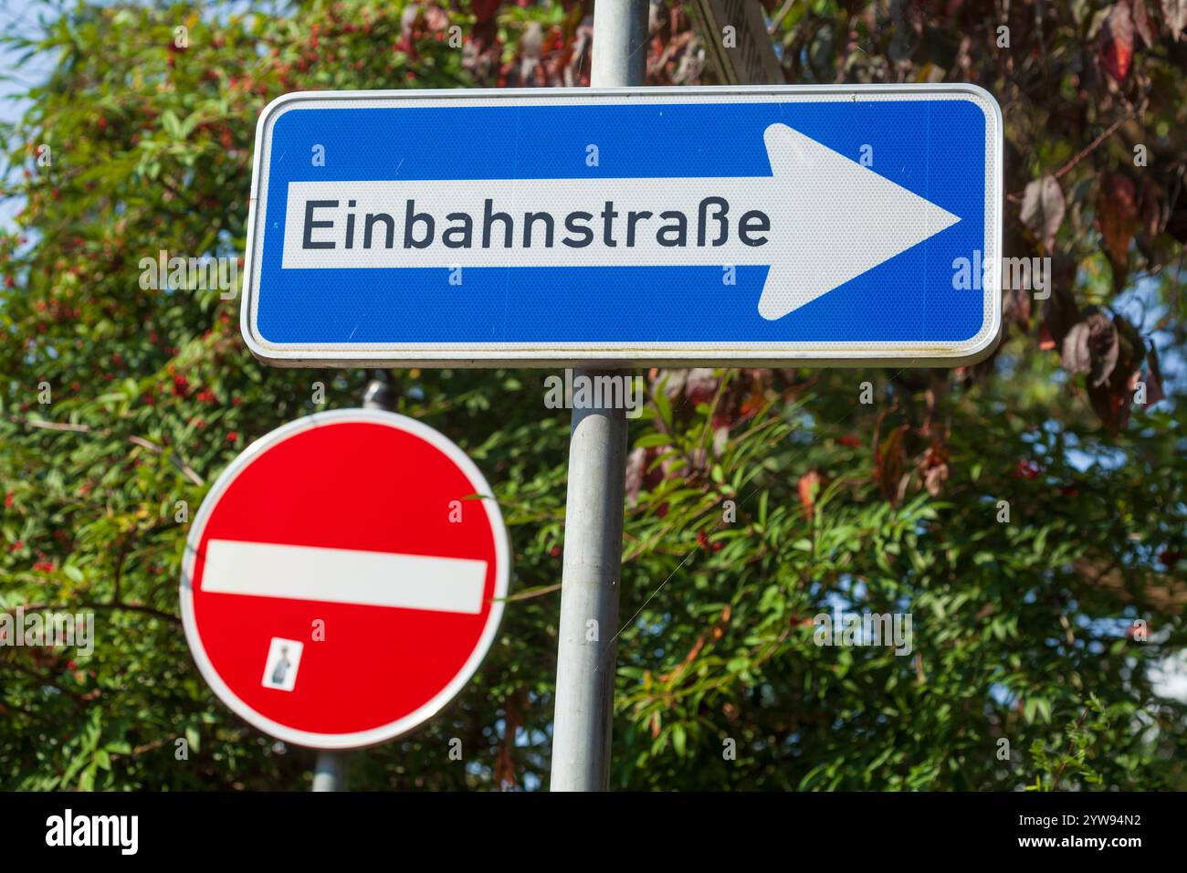Traffic sign One-way street sign and no entry, Germany Stock Photo - Alamy