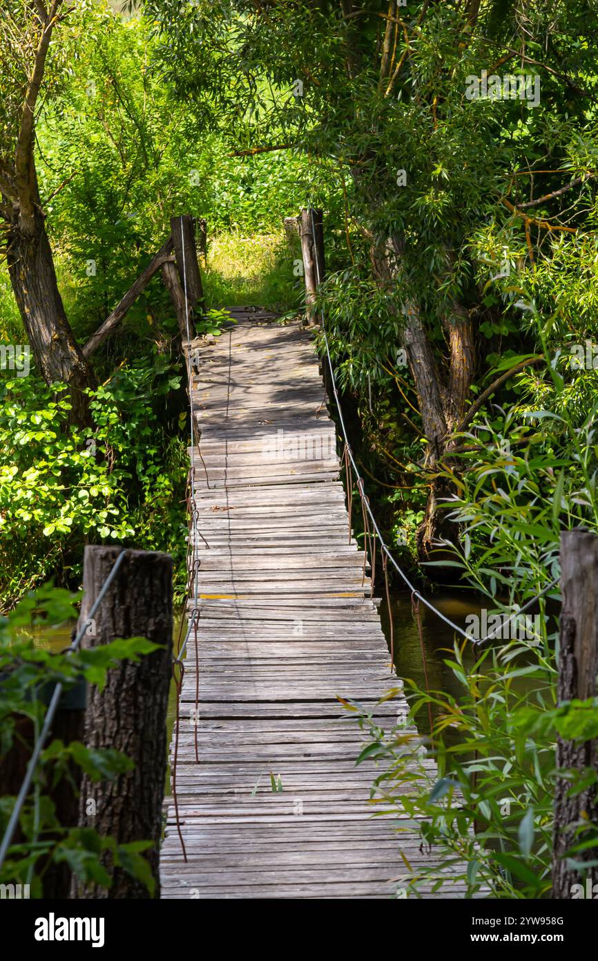 Suspension bridge walkway hi-res stock photography and images - Alamy
