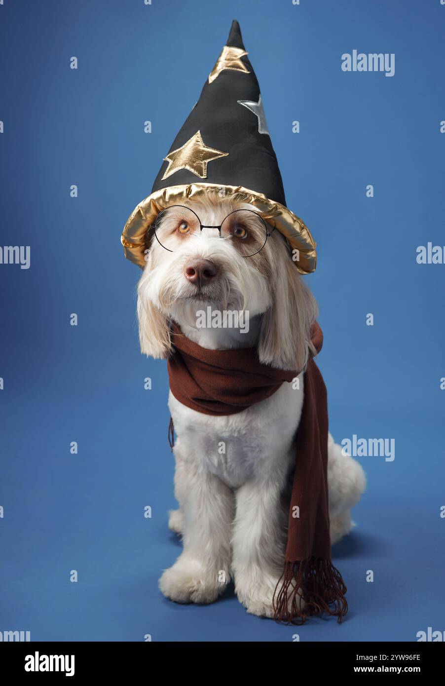 Setup wizard hi-res stock photography and images - Alamy