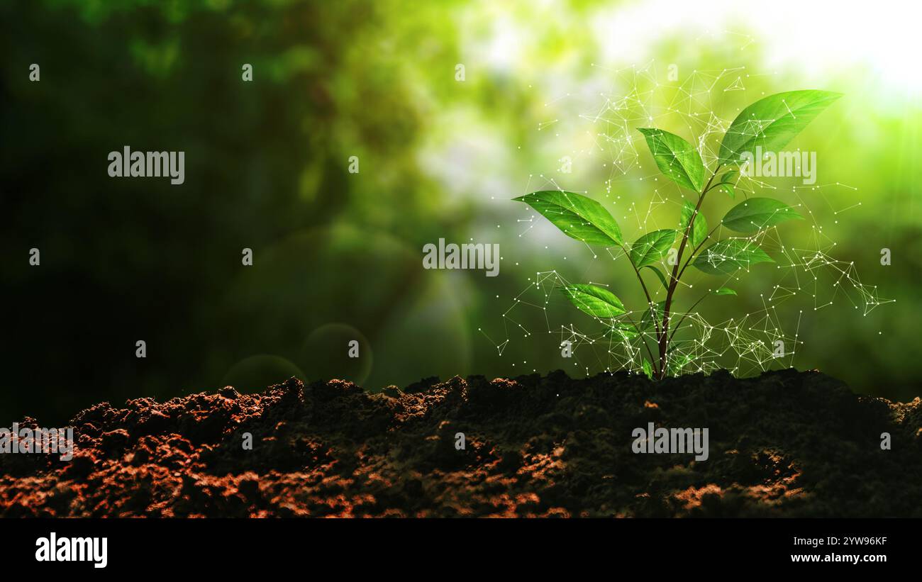 Sustainable Green Energy Plant in Soil Stock Photo - Alamy