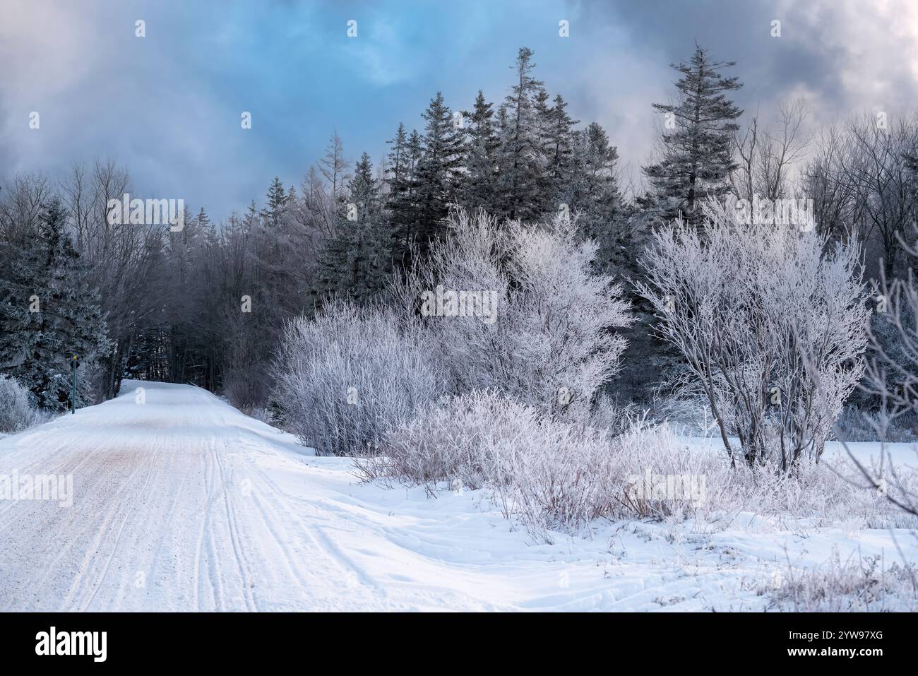 Snow covered snowmobile trail in rural Prince Edward Island Stock Photo ...