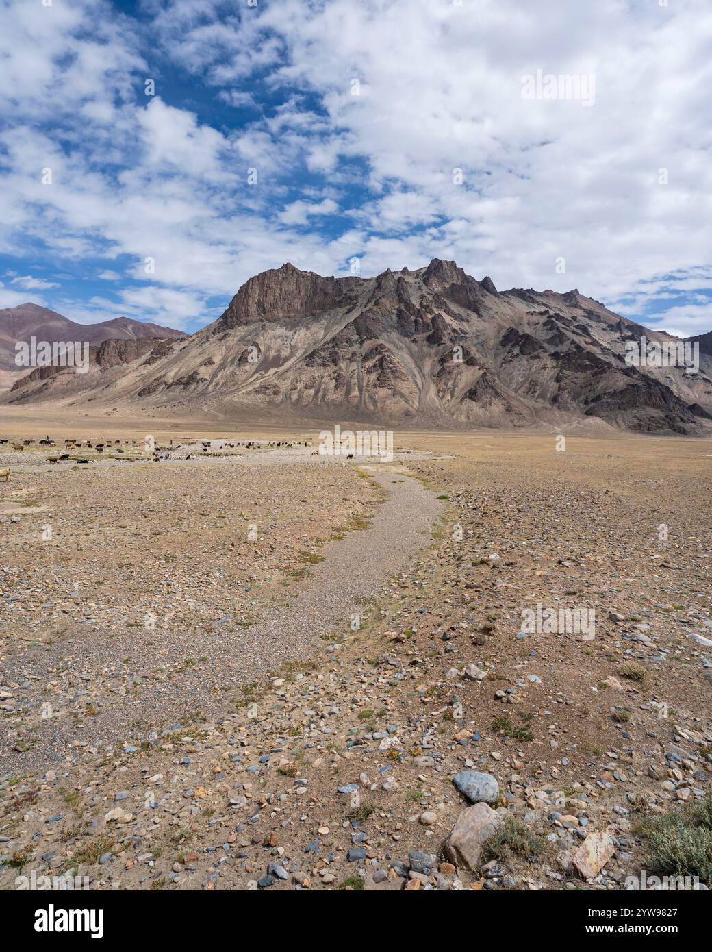 Scenic vertical mountain landscape with path and herd along Pamir ...