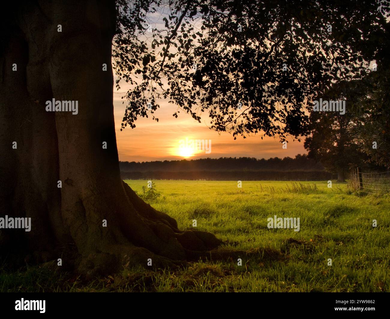 Oxton nottinghamshire hi-res stock photography and images - Alamy