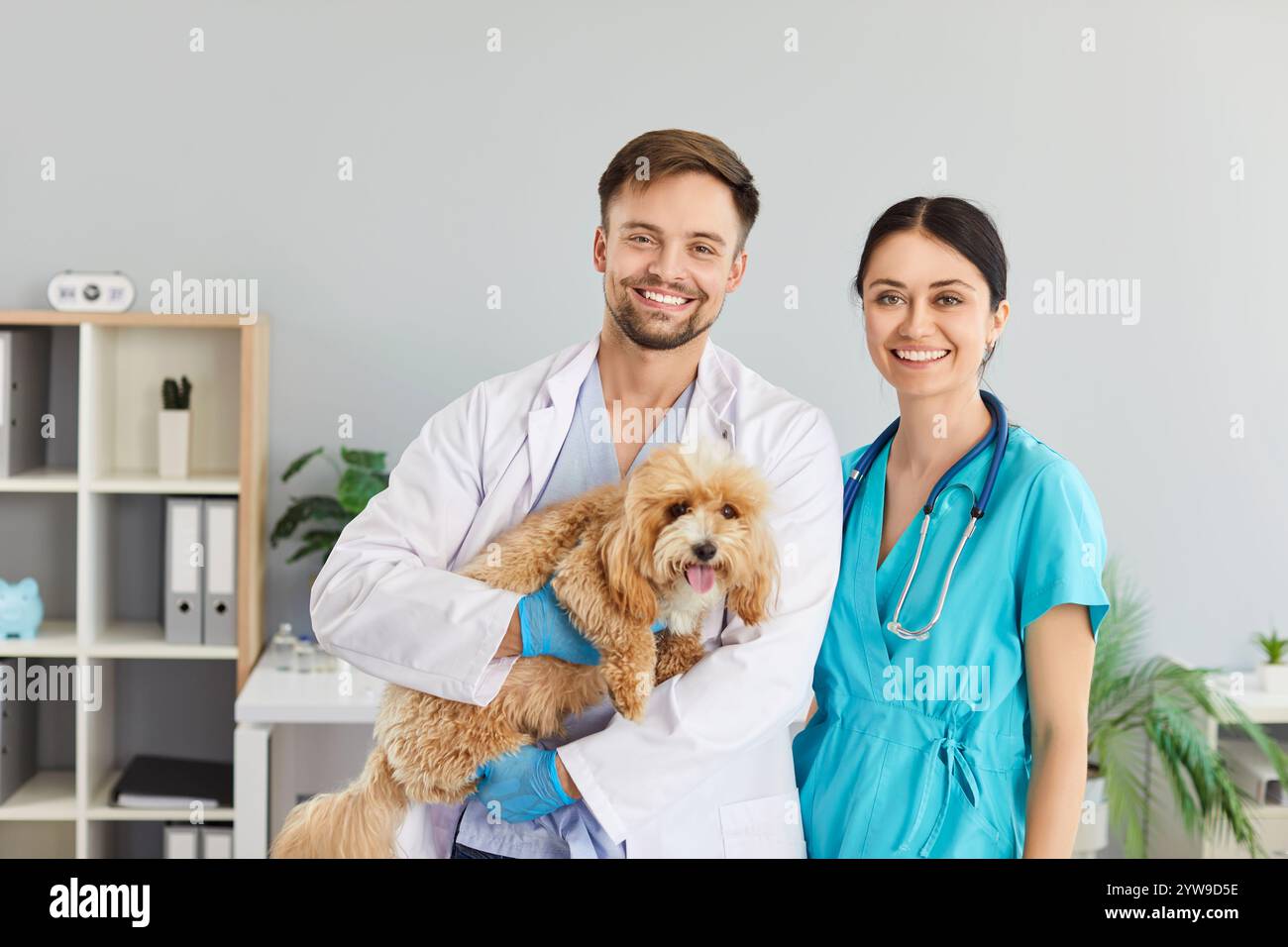 Veterinary doctor holding domestic hi-res stock photography and images ...
