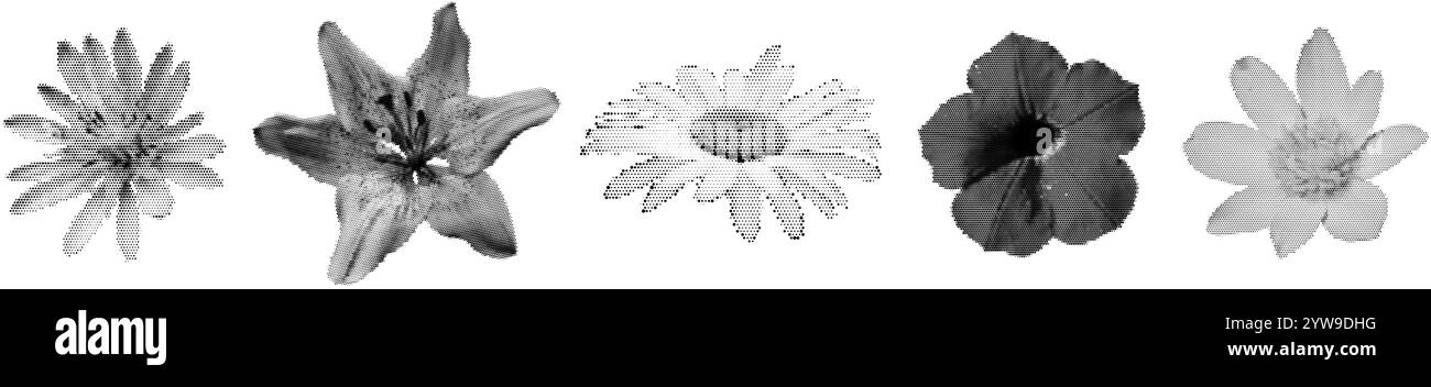 Flowers halftone dotted cutout flowers set collage. Vector realistic ...