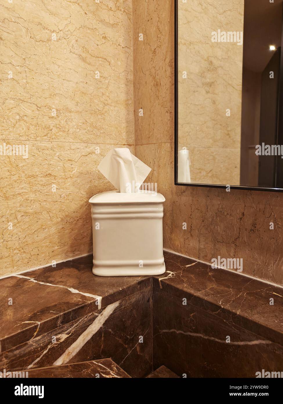 A white tissue box is positioned neatly on a marble surface, reflecting ...