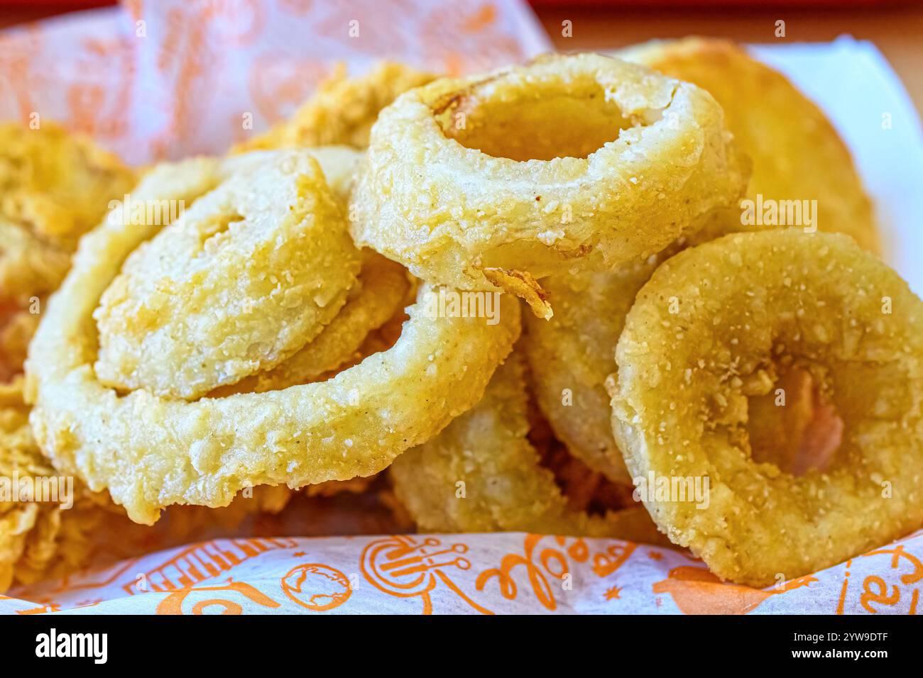 Toronto, Canada - November 30, 2024: Close-up of onion rings served at ...