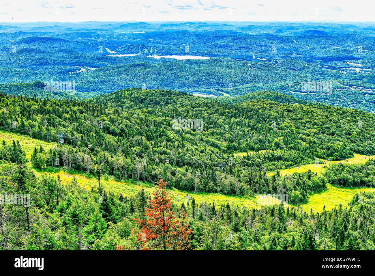 Mountain Greenery - views Stock Photo - Alamy